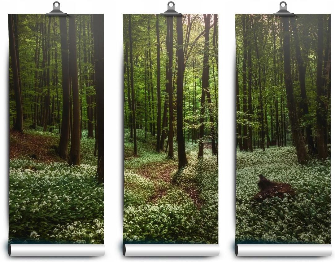 Coloray Lateks Latex Las Wiosna 152x104 - Opinie i ceny na Ceneo.pl