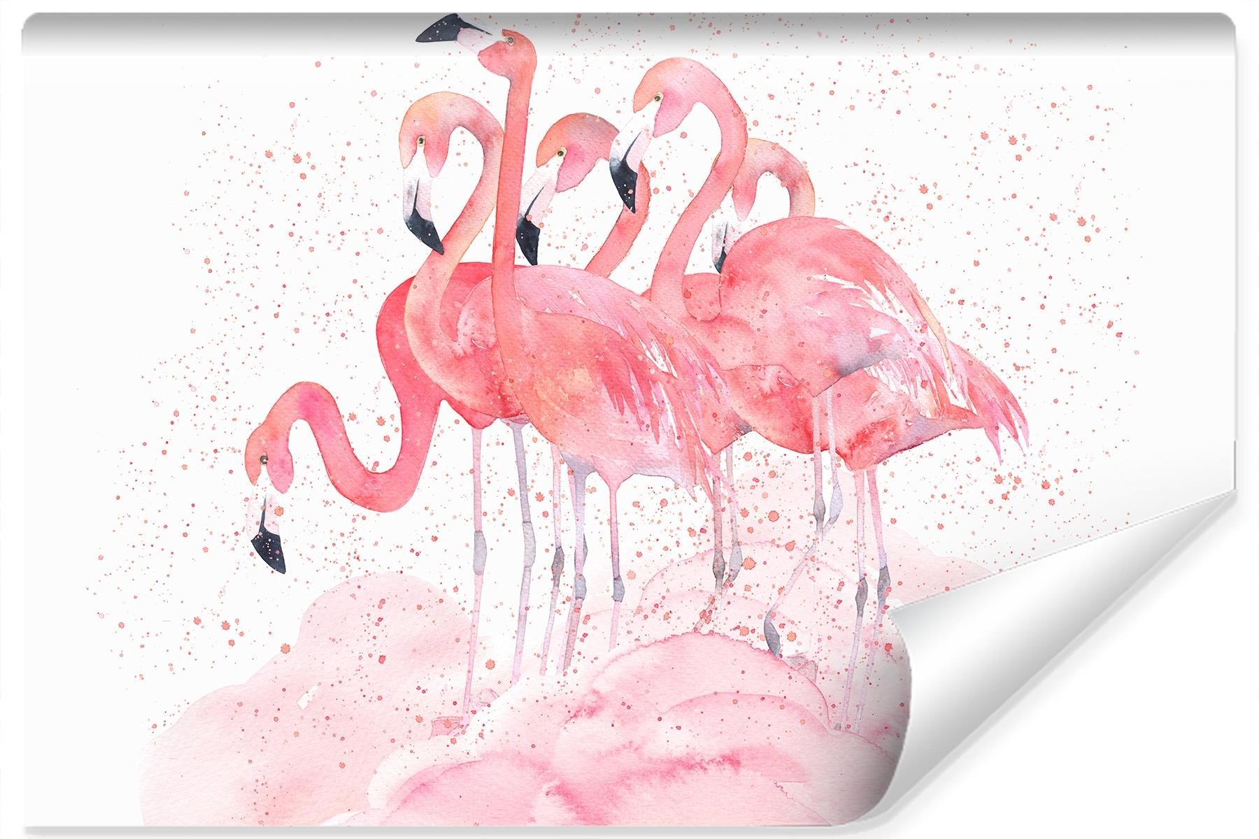 Muralo Fototapeta Flamingi Chmury 90x60 - Opinie i ceny na Ceneo.pl