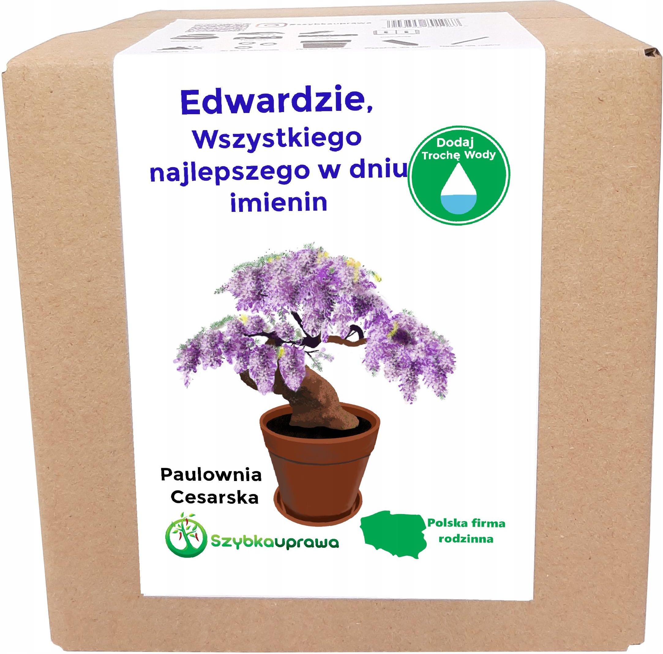 Zestaw Bonsai Paulownia Cesarsk Imieniny Edwarda 500g - Ceny i opinie ...