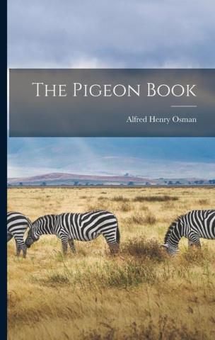 The Pigeon Book - Literatura obcojęzyczna - Ceny i opinie - Ceneo.pl