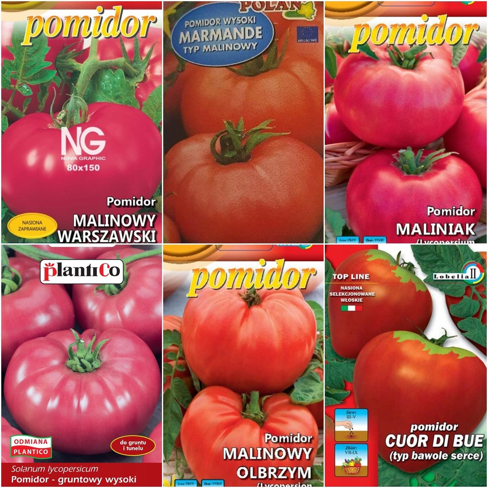 Pomidory Malinowe Kolekcja Nasion 5Op Zestaw Nr 1 - Ceny i opinie ...