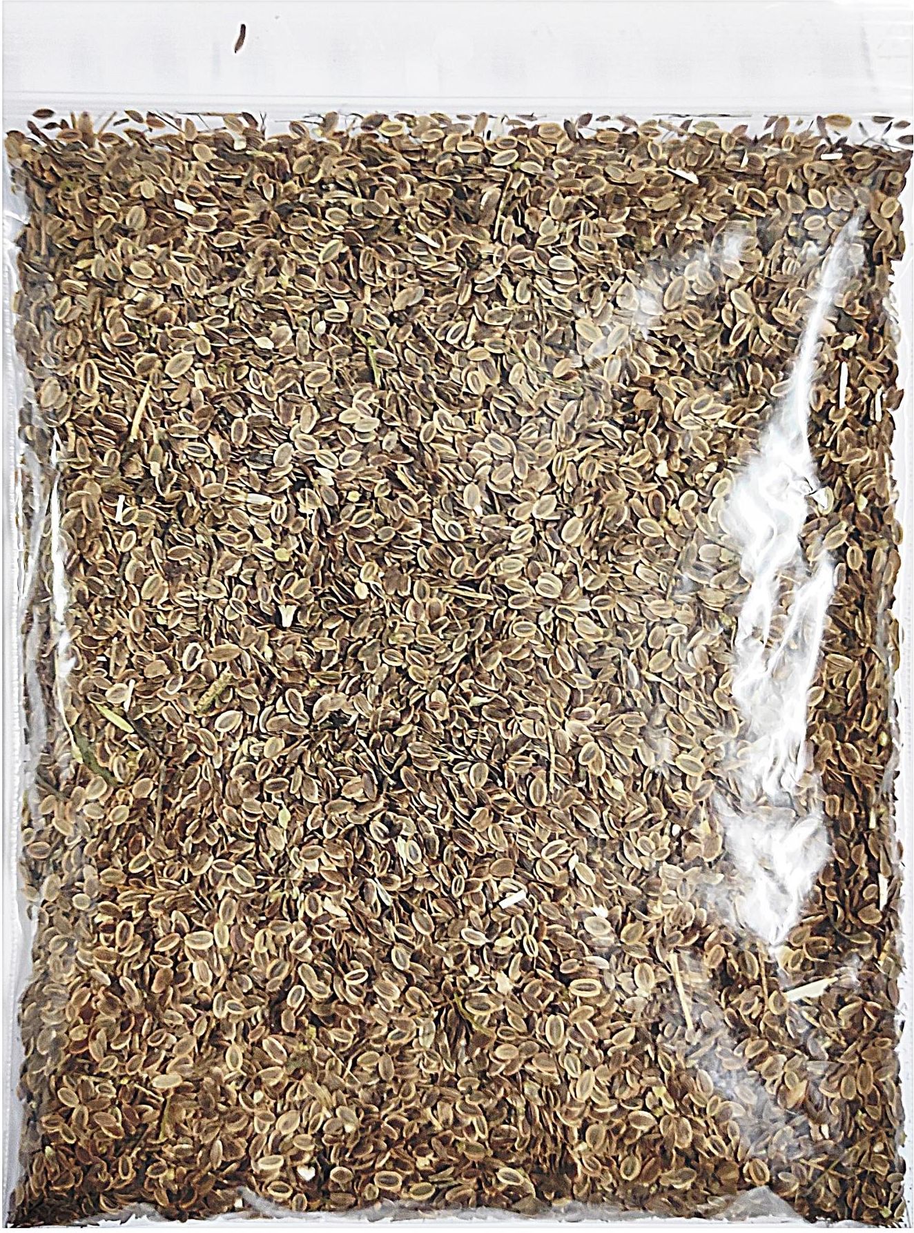 Nasiona Koper Do Siania Herkules Kopru 500G - Ceny i opinie - Ceneo.pl