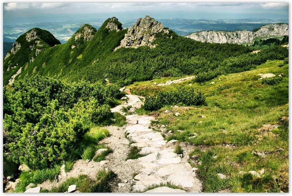 Naklejki 120x80 Góry Tatry - Opinie i atrakcyjne ceny na Ceneo.pl