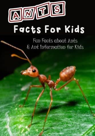 Ants Facts For Kids: Fun Facts about Ants & Ant Information for Kids ...