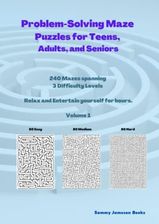 Problem-Solving Maze Puzzles for Teens, Adults, and Seniors: 240 Mazes ...