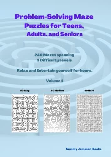 Problem-Solving Maze Puzzles for Teens, Adults, and Seniors: 240 Mazes ...