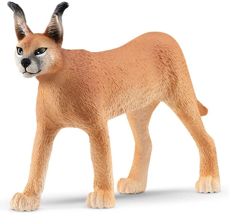 Schleich Samica Karakala 14867 - Ceny i opinie - Ceneo.pl