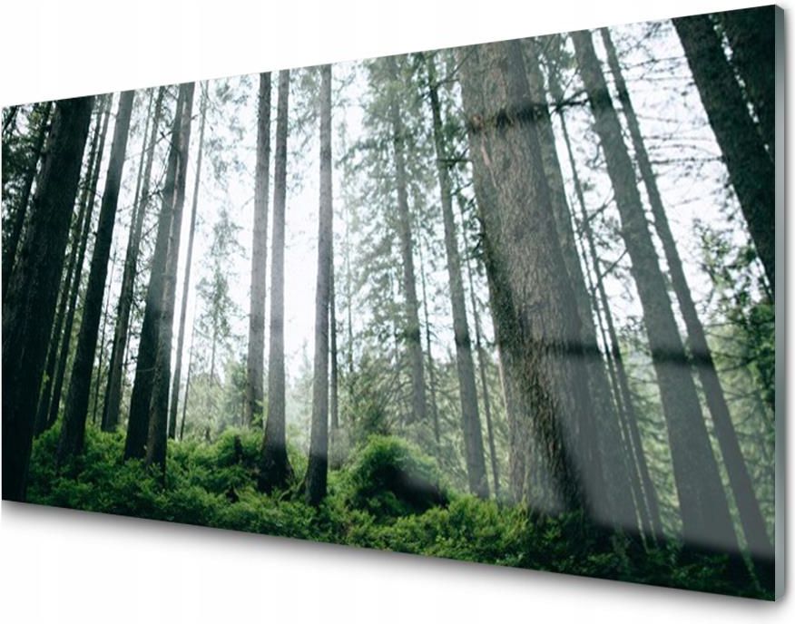 Tulup Panel Szklany Dekor Dekor Las 120x60 PLPK120X60NN240465382 ...