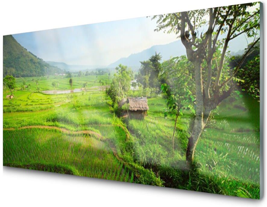 Tulup Panel Szklany Dekor Łąka Pole Ryżu 140x70 PLPK140X70NN38216401 ...