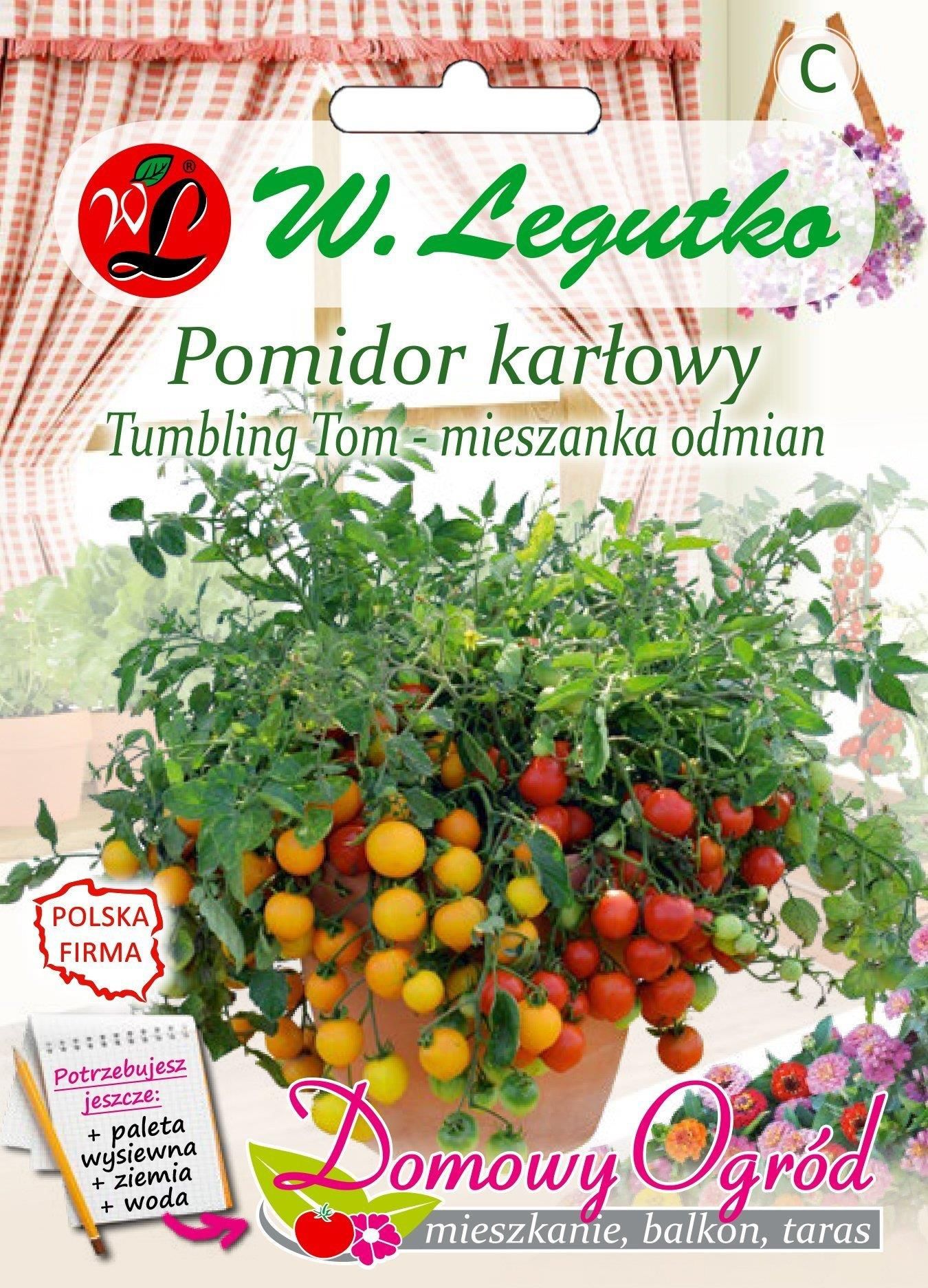 Legutko Nasiona Pomidor Gruntowy Karłowy Thumbling Tom - Ceny i opinie ...
