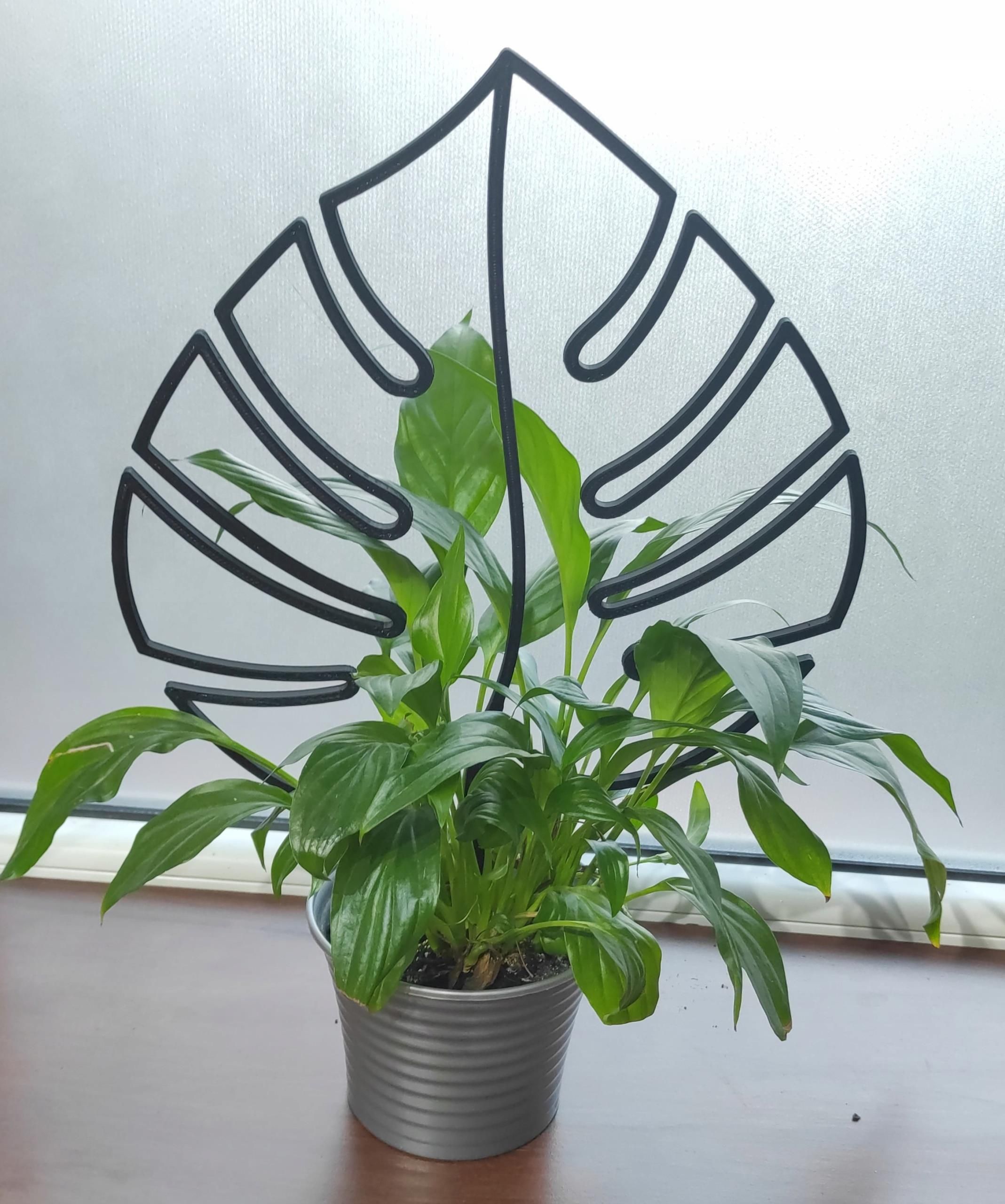 Podpórka Kwiatów Roślin Pergola Monstera Liść 36cm - Ceny i opinie ...
