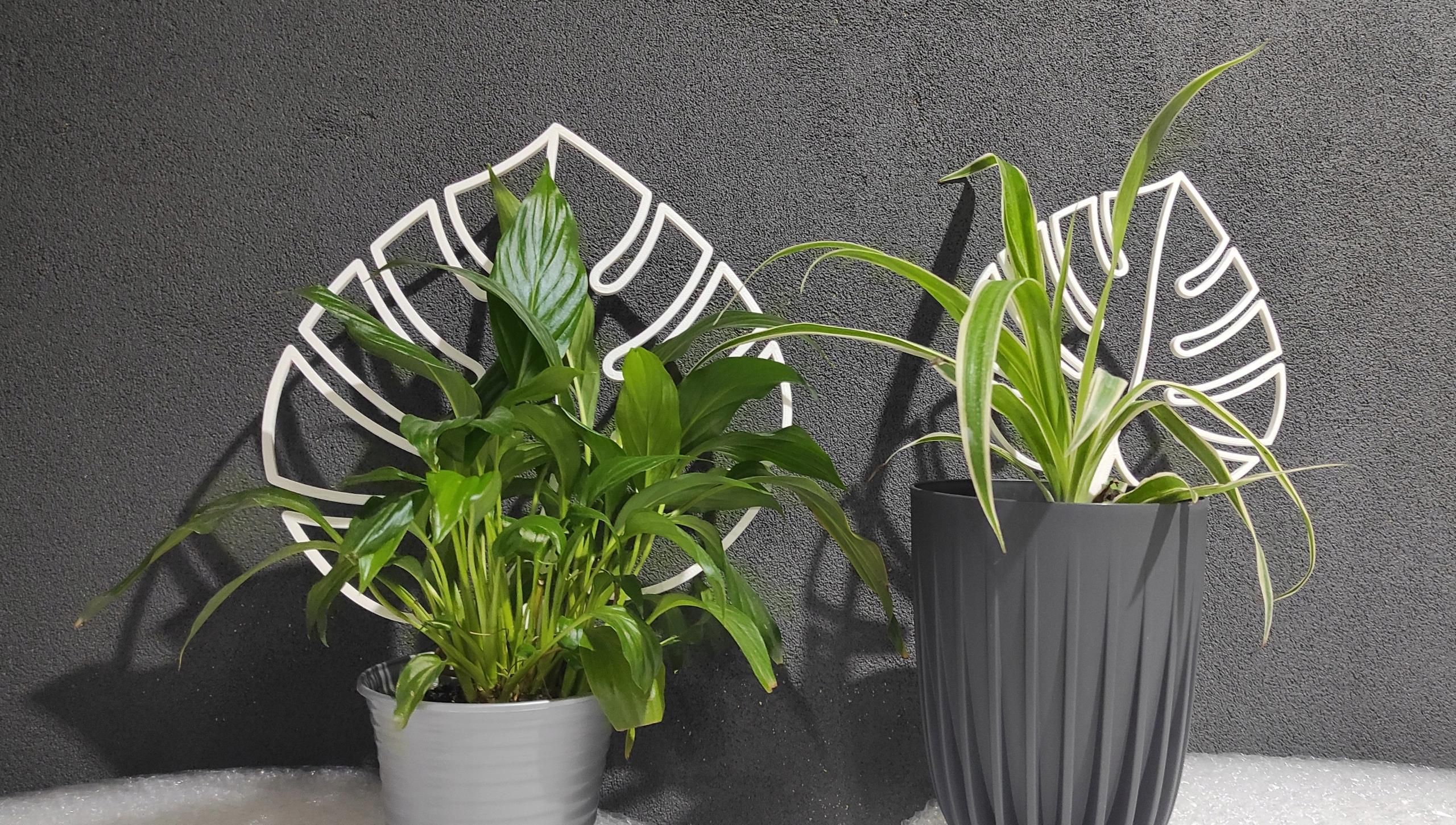 2x Podpórka Ozdoba Kwiatów Roślin Pergola Monstera - Ceny i opinie ...