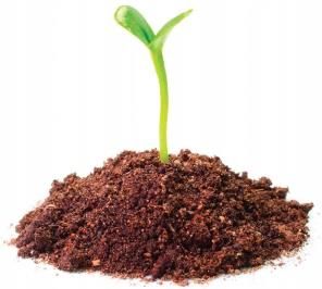 Torf Kwaśny Wysoki Sphangowy Sphagnum Ph 3,5 4 50L - Ceny i opinie ...