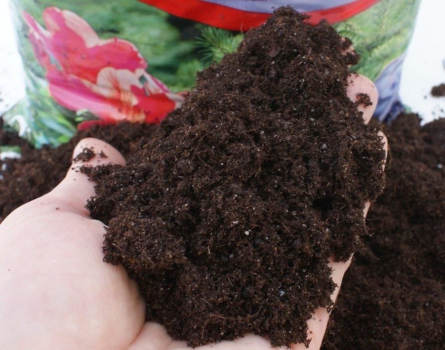 Torf Kwaśny Ziemia Do Iglaków Wrzosów Borówki 10L - Ceny i opinie ...