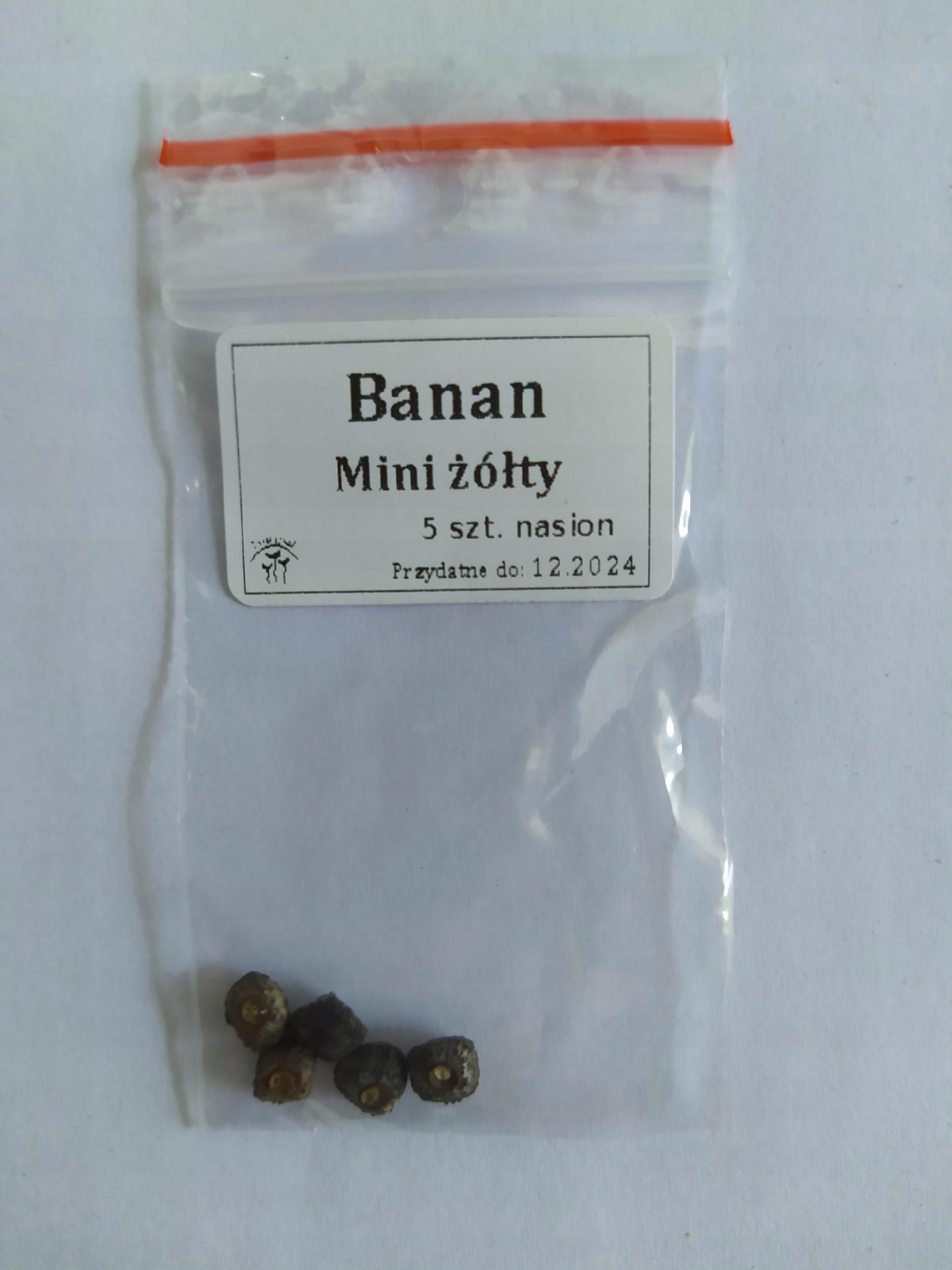 Banan Mini Żółty Bylina Doniczkowa Nasiona - Ceny i opinie - Ceneo.pl