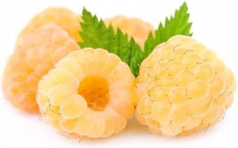 Malina Twotimer Sugana Yellow C2 Berry And More - Ceny i opinie - Ceneo.pl