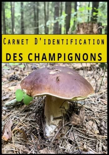 Carnet d'identification des champignons: carnet pour tous les ...