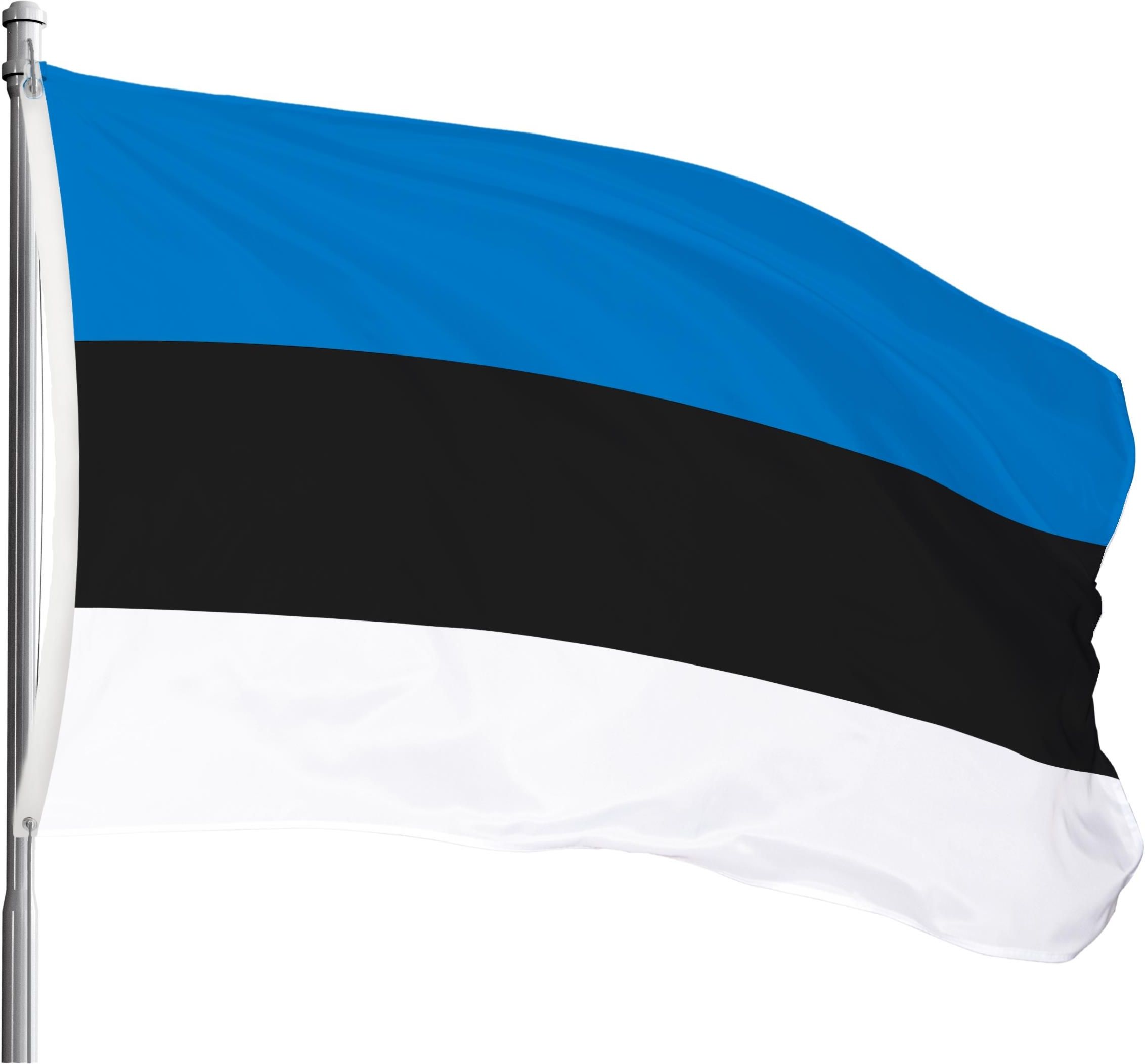 Flaga Masztowa Estonii Premium 150X92Cm - Ceny i opinie - Ceneo.pl
