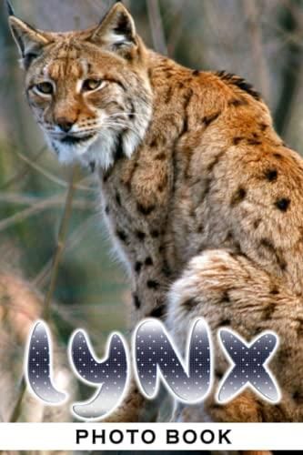 Lynx Photo Book: Unique Photos Of Lynxes For Adults To Relax And Enjoy ...