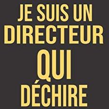 Je suis un Directeur qui déchire: Journal/Carnet de notes ligné drôle ...