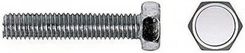 Celo Screw Box 5x45mm - Ceny i opinie - Ceneo.pl