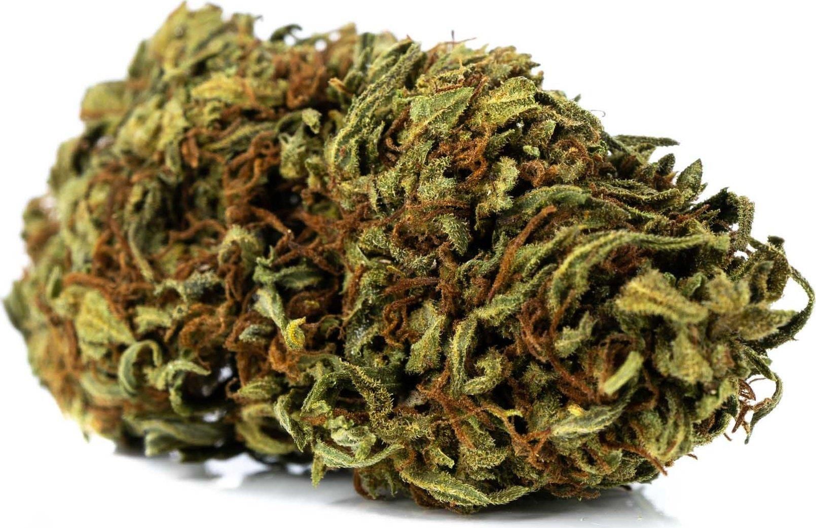 Exclusive Weed Susz Konopny Cookies Cbd 1G - Opinie i ceny na Ceneo.pl