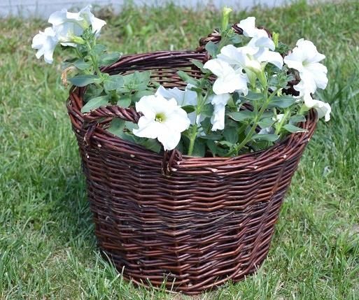 Koszyk Wiklinowy Na Drwno Wiklina Liście 45cm - Ceny i opinie - Ceneo.pl