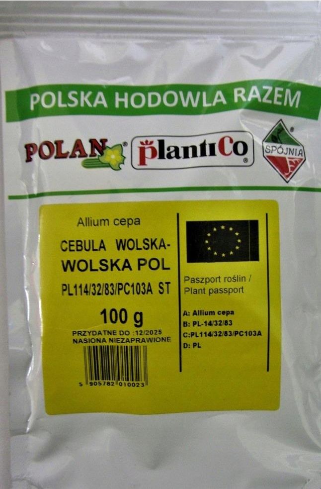 Cebula Wolska Późna Żółta Duża Ostra 100G 12/25R. - Ceny i opinie ...
