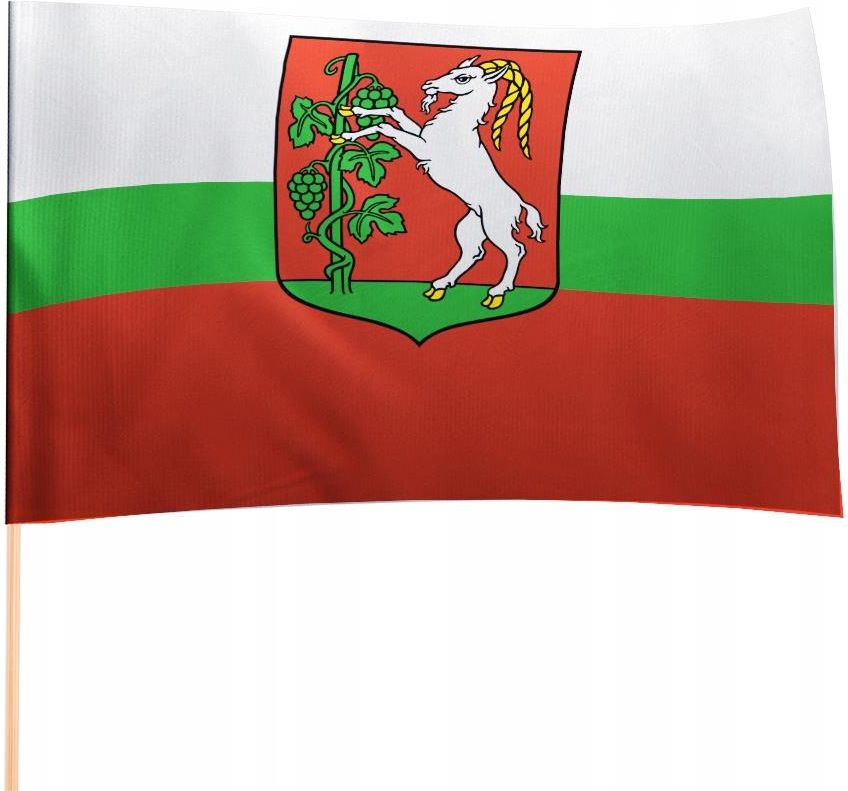 Flaga Lublin 60X90Cm Tunel - Ceny i opinie - Ceneo.pl
