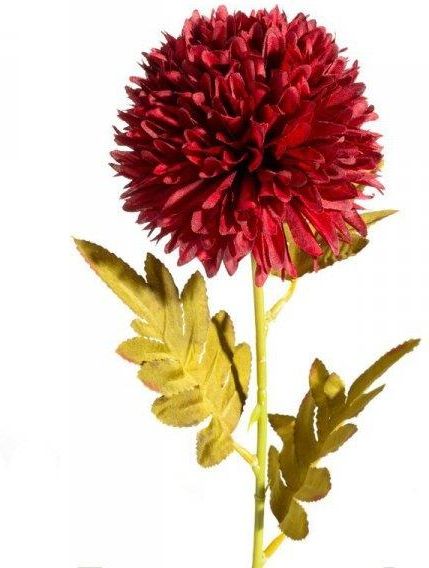 Kwiat Natu 291 Dł.63cm Śr. Kwiat 12cm Bordowy - Opinie i atrakcyjne ...