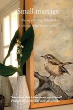 Small mercies - Literatura obcojęzyczna - Ceny i opinie - Ceneo.pl