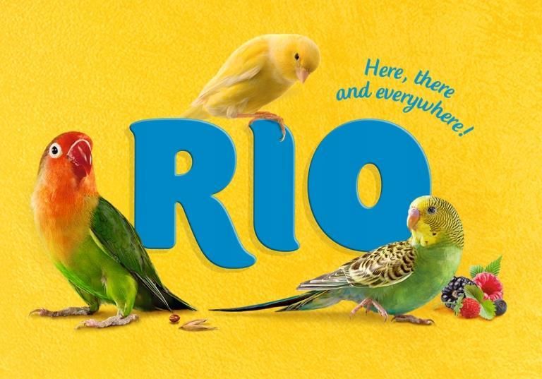 Rio Mix Owoców I Orzechów Dla Papużek I Papug 240 G - Ceny i opinie ...