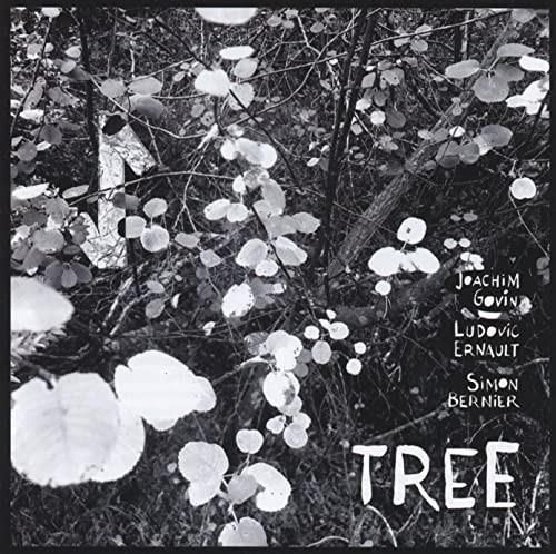 Płyta kompaktowa Joachim Govin: Tree [CD] - Ceny i opinie - Ceneo.pl