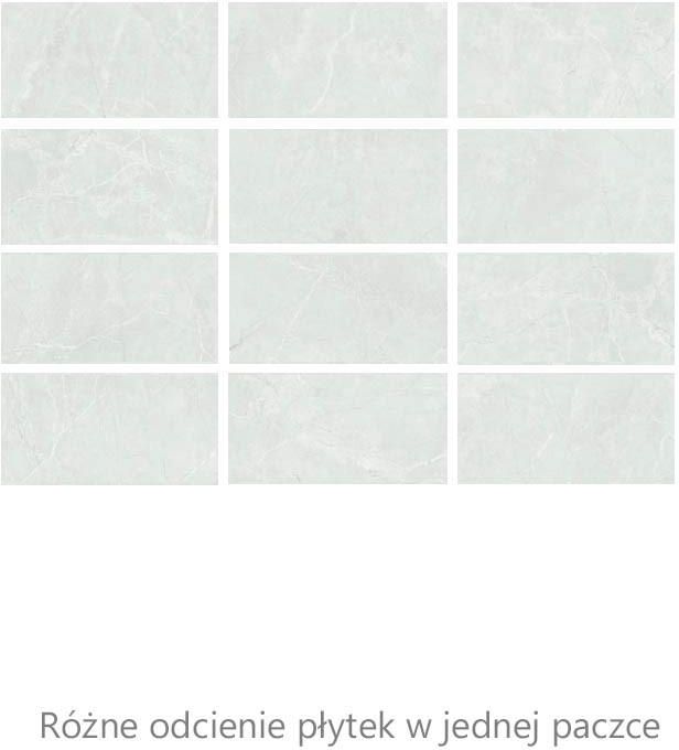 Płytki Geotiles Indic Blanco Rektyfikowana 60x120 - Opinie i ceny na ...