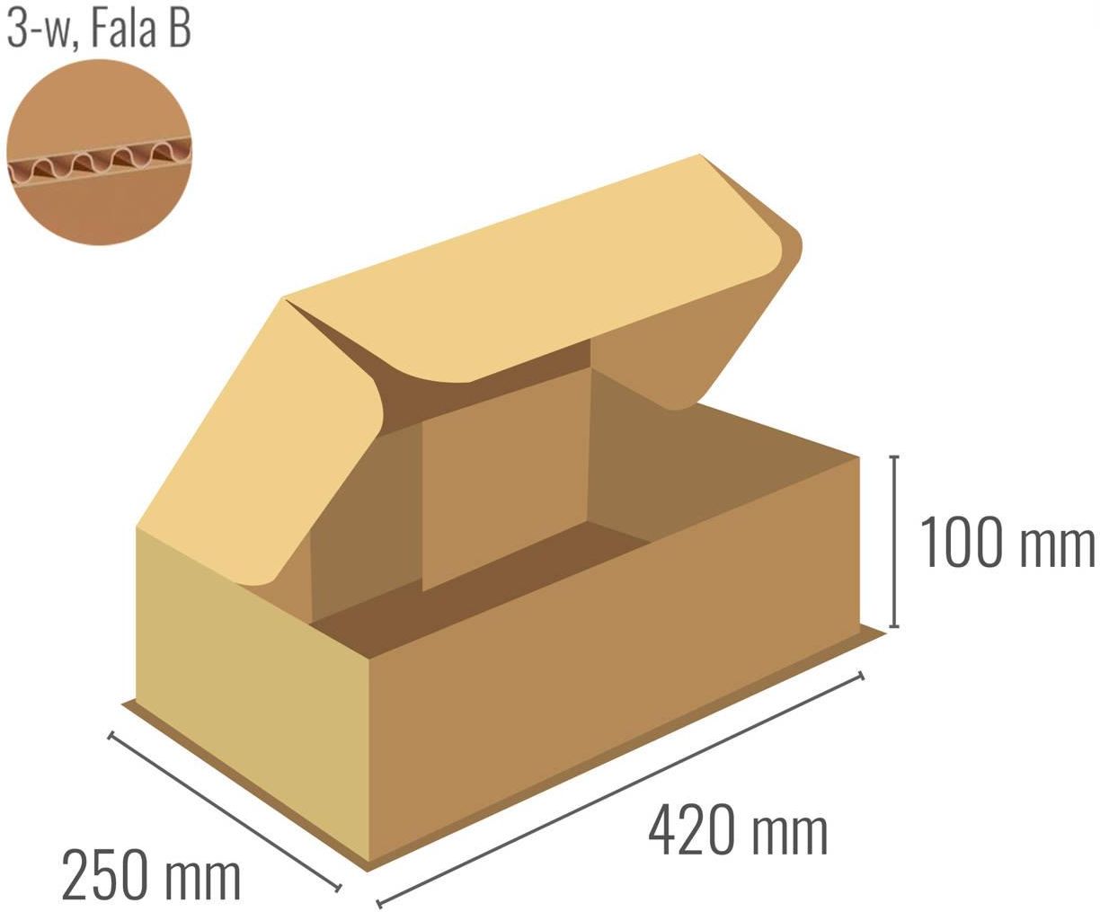Pudełko Fasonowe 420X250X100 Fefco 426 - Ceny i opinie - Ceneo.pl