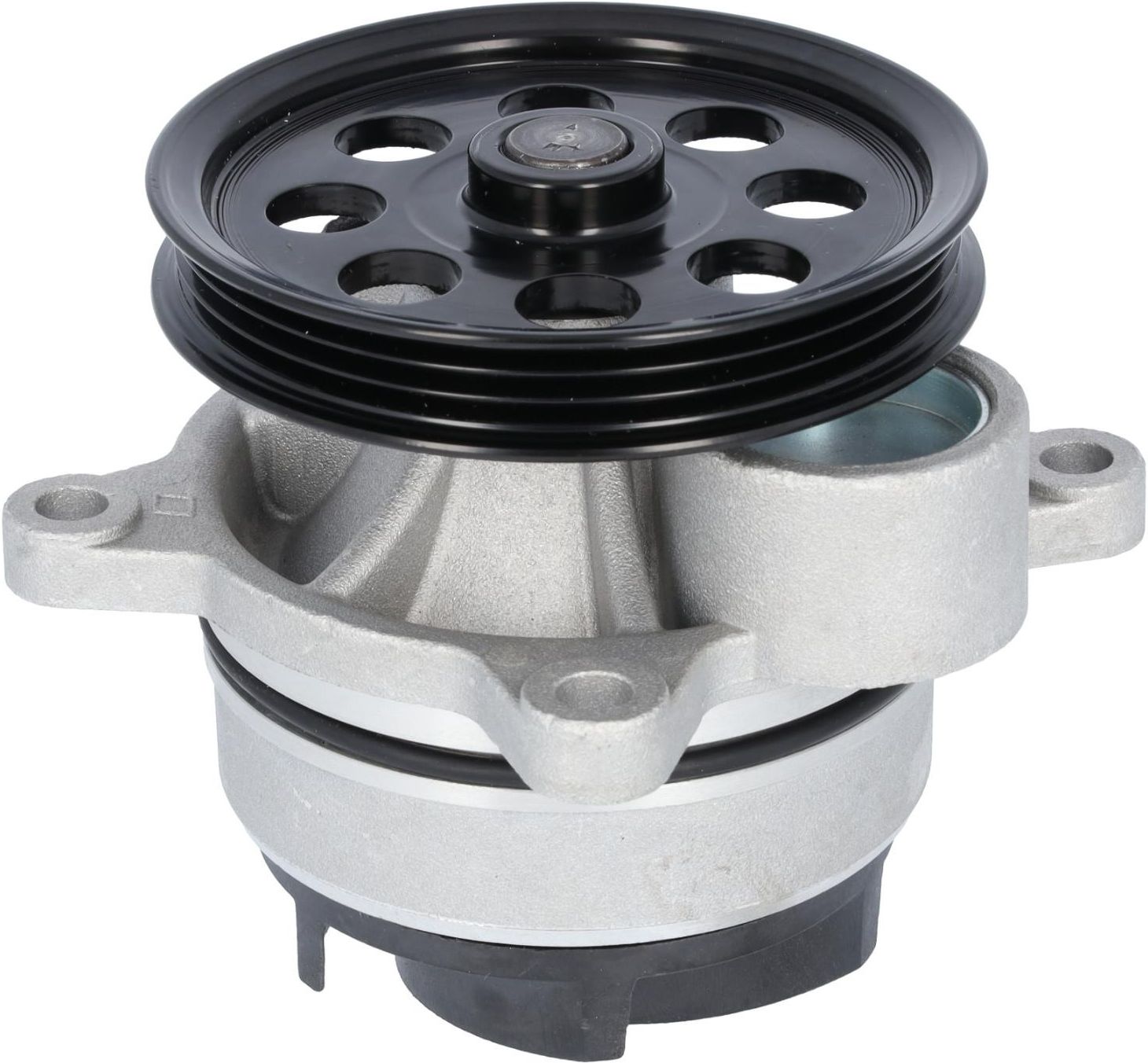 Febi Bilstein Pompa Wody 177024 - Opinie i ceny na Ceneo.pl