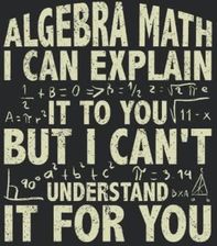 Mathematik Notizbuch: Motiv Algebra math I can explain it to you but I ...