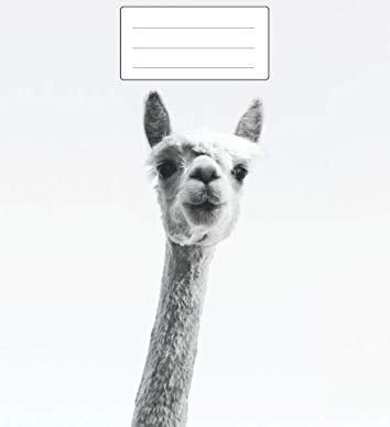 NOTIZBUCH A4 KARIERT - Alpaka: 110 Seiten ohne Rand , ganzseitig ...