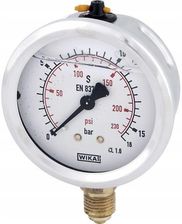 Wika Manometr Glicerynowy 100mm 16 Bar Przyłącze D - Opinie i ceny na Ceneo.pl
