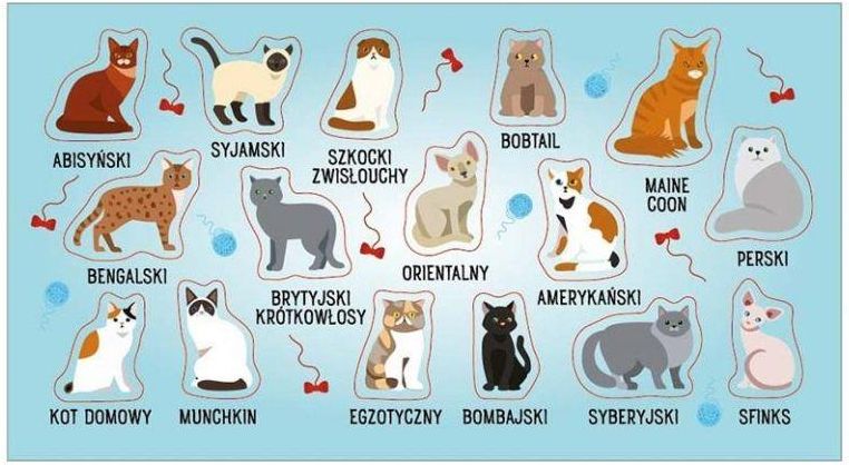 Ranok-Creative Naklejki Rasy Kotów - Ceny i opinie - Ceneo.pl
