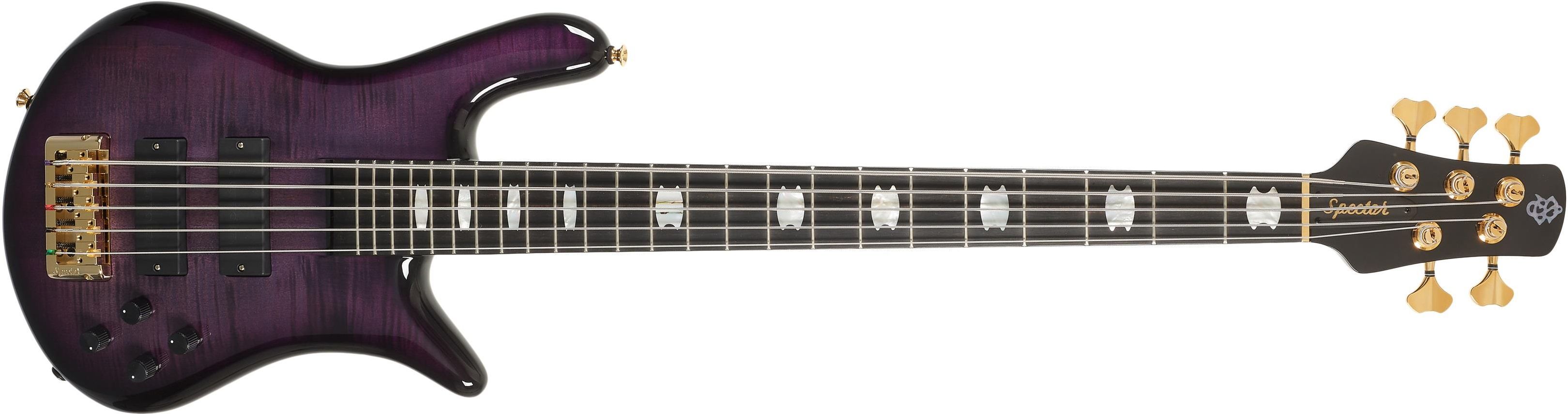 Spector Euro5 LT Violet Fade Gloss - Ceny i opinie - Ceneo.pl