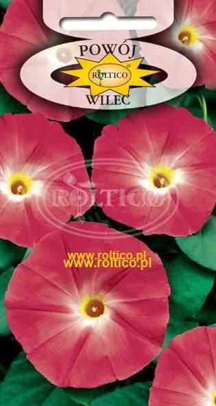 Wilec, Powój Pnący Czerwony 2g - Ceny i opinie - Ceneo.pl