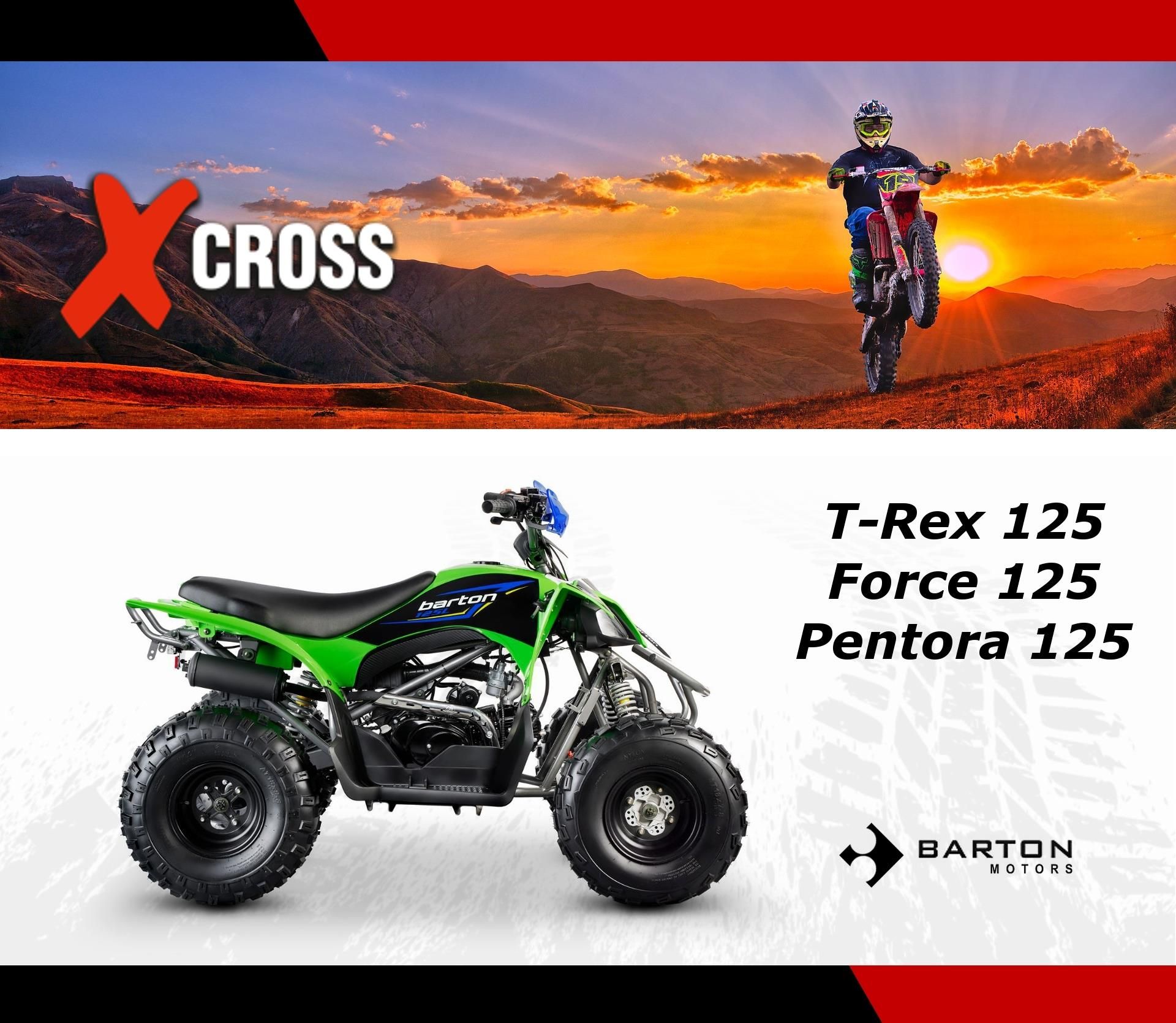 QUAD ATV 125 BARTON T-REX FORCE PENTORA RATY - Opinie i ceny na Ceneo.pl