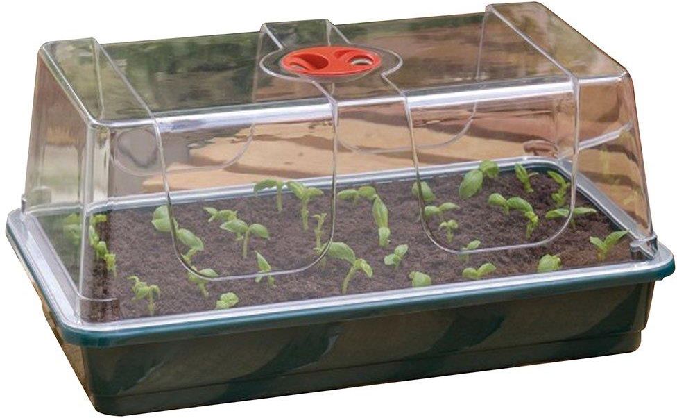 Szklarenka Mini Propagator Na Rozsady Do Wysiewu - Ceny i opinie - Ceneo.pl