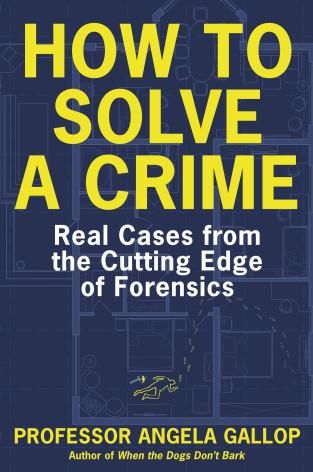 How to Solve a Crime - Literatura obcojęzyczna - Ceny i opinie - Ceneo.pl