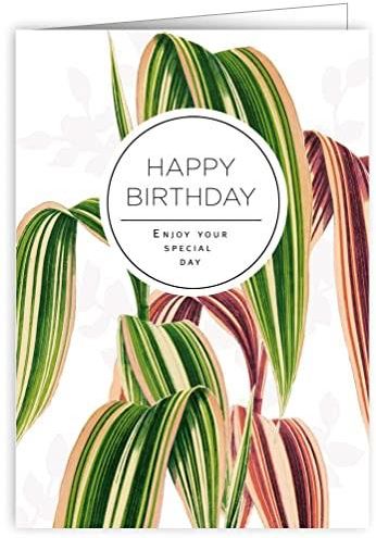 Quire Collections Quire Botanic Bliss Card Happy Birthday Leaves - Ceny ...