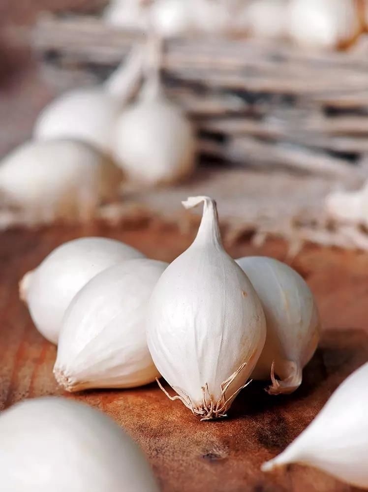 Cebula Dymka Biała Snowball 500 G. - Ceny i opinie - Ceneo.pl
