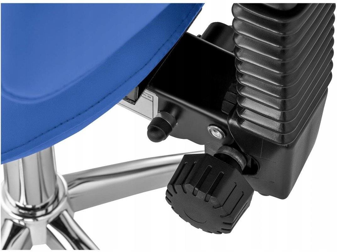 Krzesło Siodłowe Obrotowe Physa Berlin Blue - Ceny i opinie - Ceneo.pl