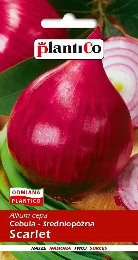 Cebula Scarlet 5G Nasiona Plantico - Ceny i opinie - Ceneo.pl