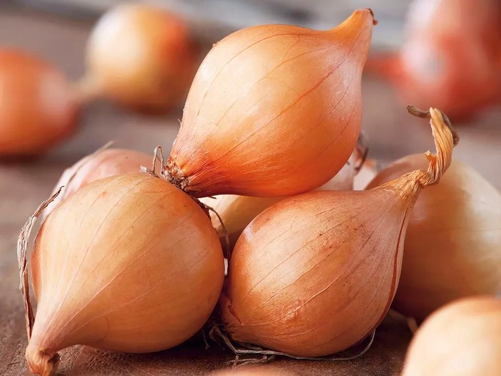 Cebula Dymka Żółta Stuttgarter Riesen 500g - Ceny i opinie - Ceneo.pl